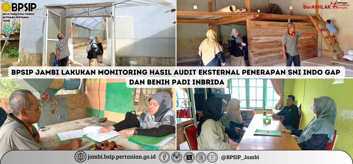 Berita BRMP Jambi - BPSIP Jambi Lakukan Monitoring Hasil Audit ...