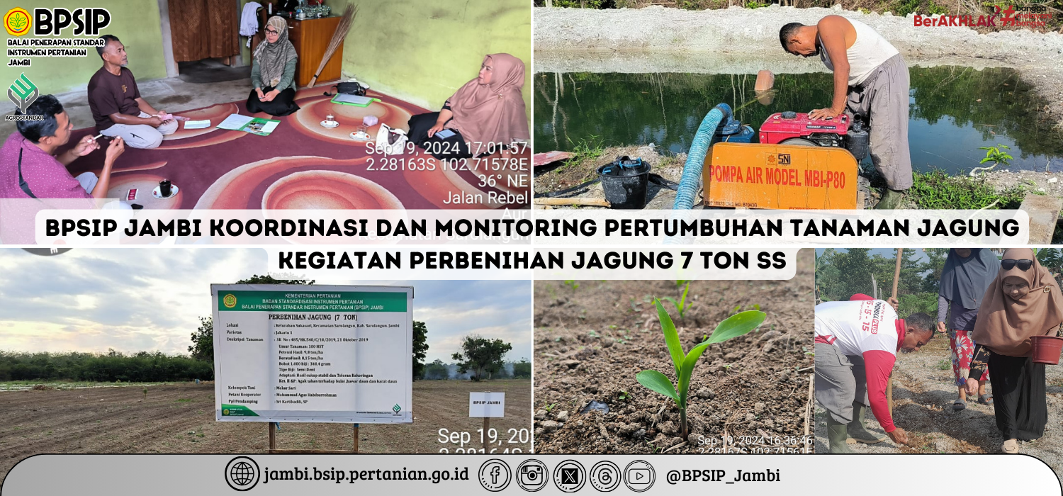 Berita BRMP Jambi - BPSIP Jambi Koordinasi dan Monitoring Pertumbuhan ...